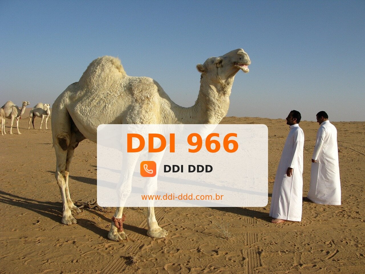 DDI 966: De qual país é este código?